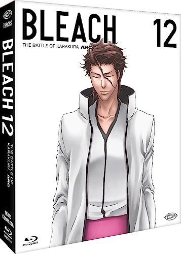Bleach - Arc 12: The Battle Of Karakura (Eps.213-229) - Shimizu Akira ...