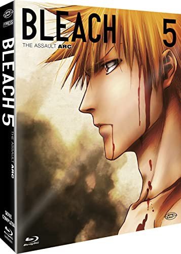 Bleach - Arc 5: The Assault (Eps 92-109) - Kon Chiaki| Filmy Sklep ...