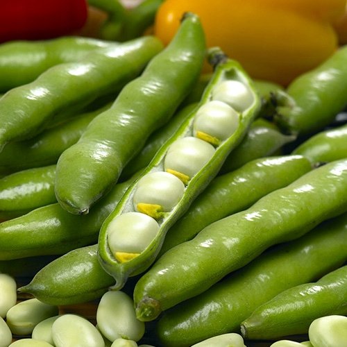 Bób Hangdown Biały 50 g - inna (Inny) | Sklep EMPIK.COM