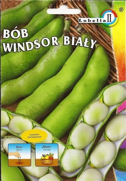 Bób Windsor Biały 20g / L / - inna (Inny) | Sklep EMPIK.COM