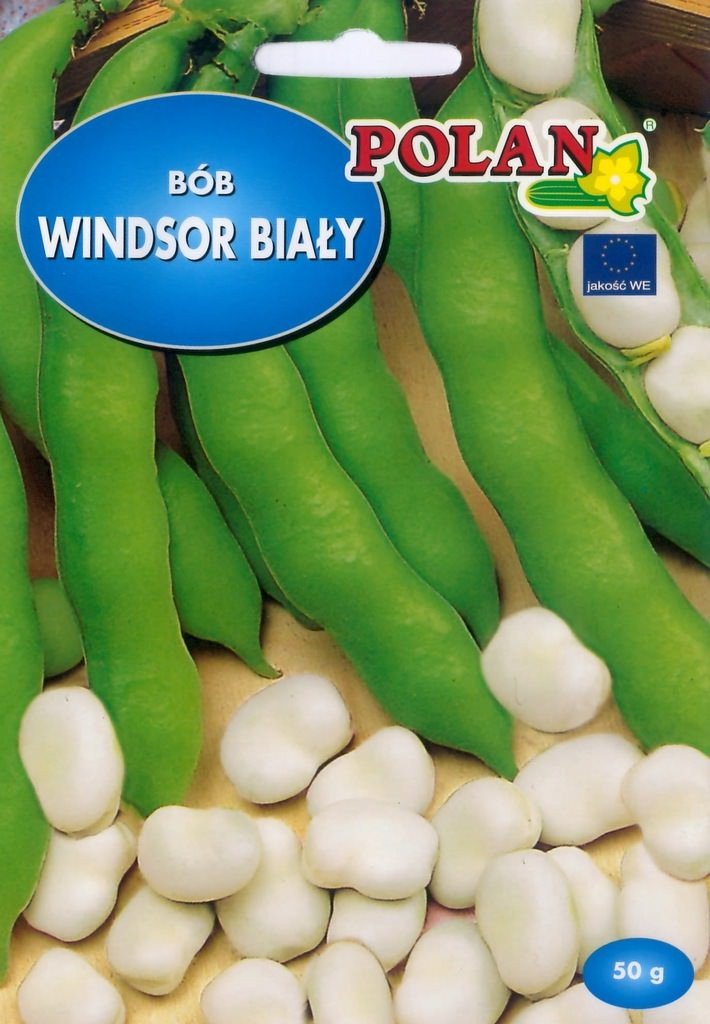 Bób Windsor Biały 50 g POLAN - Inna marka | Sklep EMPIK.COM