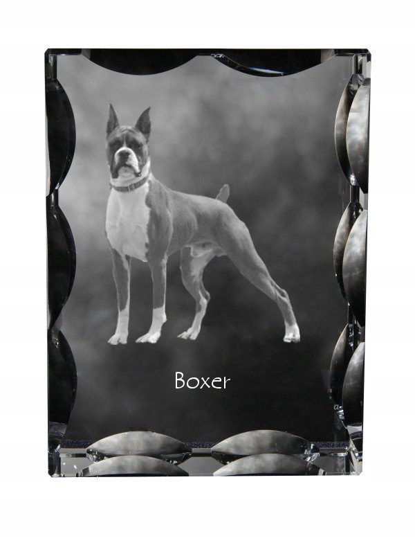 Bokser, Boxer Iii - Kryształ Ze Zdjęciem Psa, Szklana Statuetka Ze ...