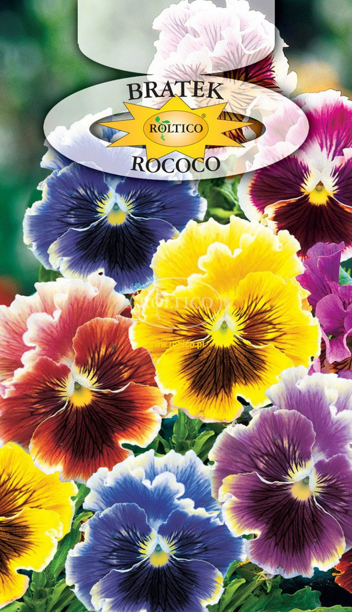 BRATEK OGRODOWY ROCOCO 0,4g - Inna marka | Sklep EMPIK.COM