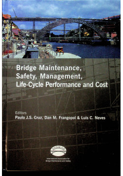 Bridge Maintenance Safety Management - Opracowanie zbiorowe | Książka w ...
