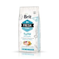Brit Fresh Fish with Pumpkin Adult Large 2.5kg - Brit | Sklep EMPIK.COM