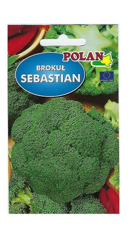 Brokuł Sebastian 1 g POLAN - Inna marka | Sklep EMPIK.COM