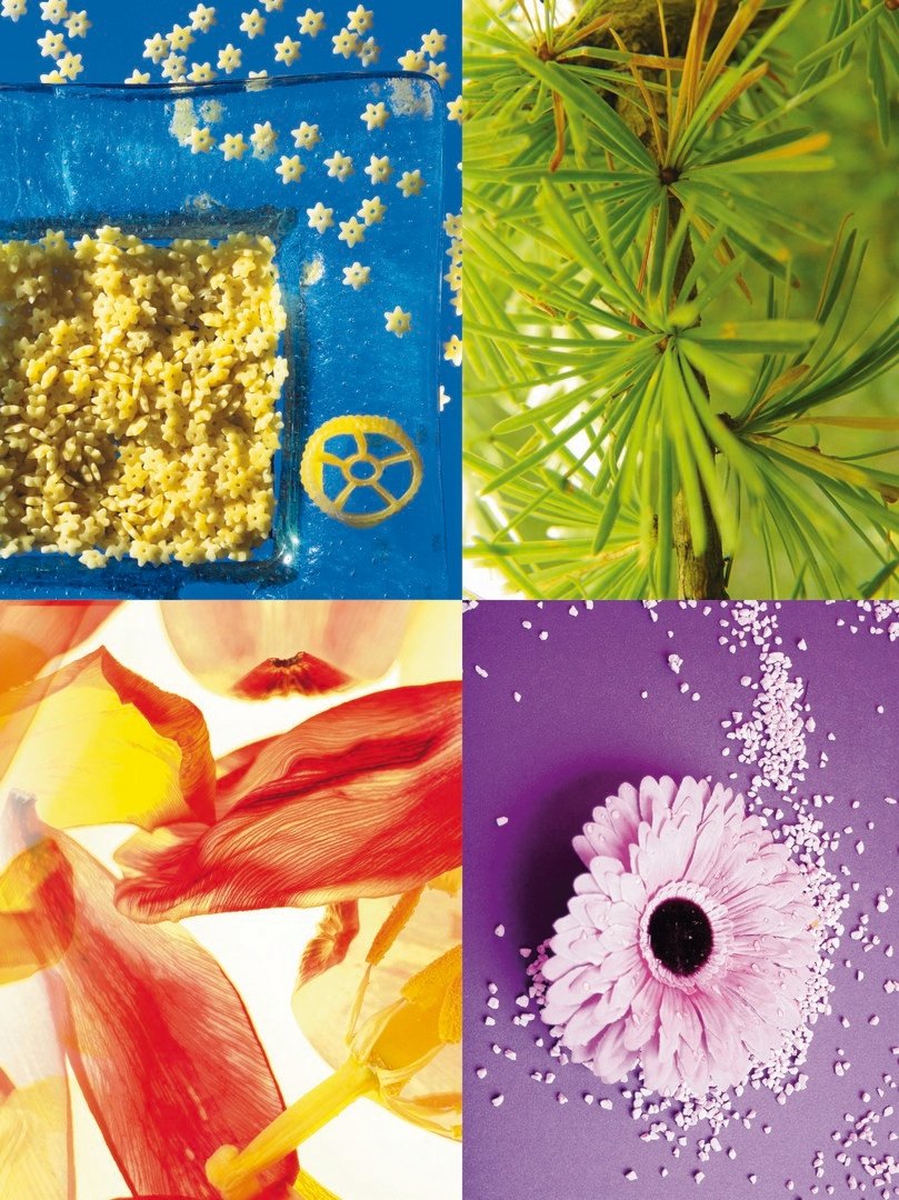 Brulion A4 Kreska 96 kartek twarda oprawa - Kreska | Sklep EMPIK.COM