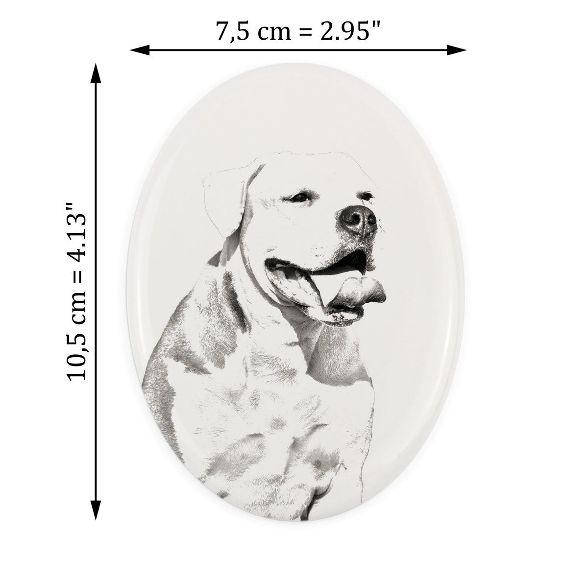 Buldog amerykański - płytka pamiątkowa ze zdjęciem psa, płytka nagrobna ...