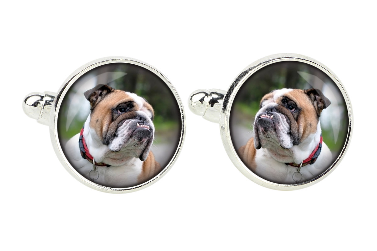 Buldog angielski, Bulldog - spinki do mankietów, ozdoba koszuli ...