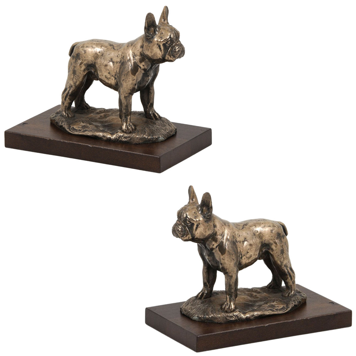 Buldog francuski - statuetka psa, figurka na białej podstawie, trofeum ...