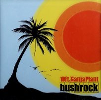 Bush Rock - Various Artists | Muzyka Sklep EMPIK.COM