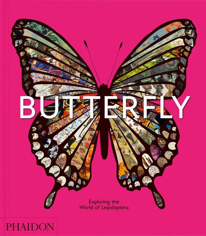 Butterfly. Exploring the World of Lepidoptera - G. James David ...