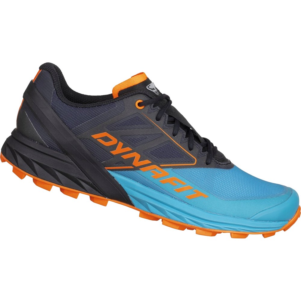 Buty damskie Dynafit Alpine W do biegania-40,5 - Dynafit | Sport Sklep ...