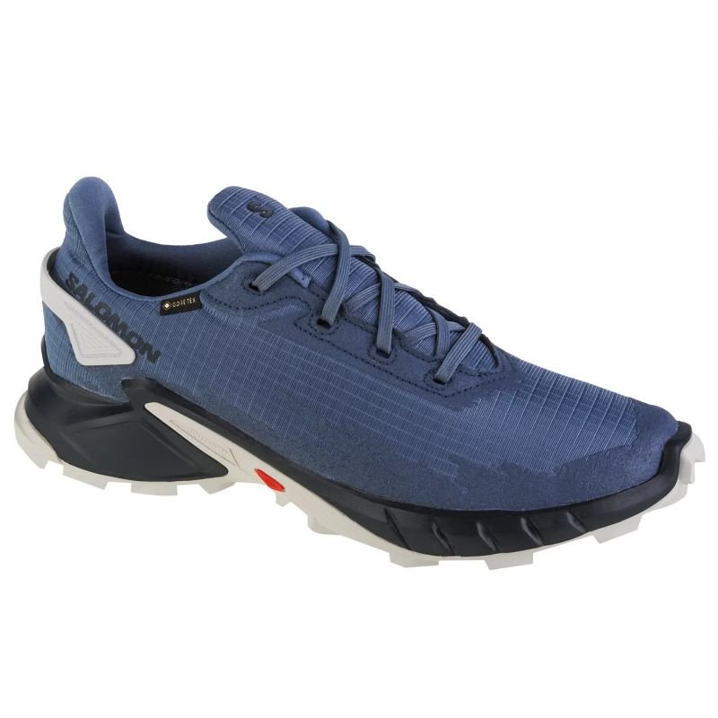 Buty do biegania Salomon Alphacross 4 GTX M 471168 - Inna marka | Sport ...