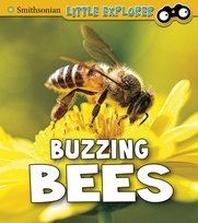 Buzzing Bees - Melissa Higgins | Książka w Empik