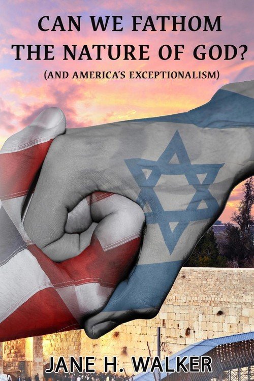 Can We Fathom the Nature of God - Walker Jane H. | Książka w Empik
