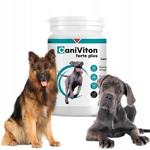Caniviton Forte Plus VETOQUINOL, 90 tabl. - Vetoquinol | Sklep EMPIK.COM
