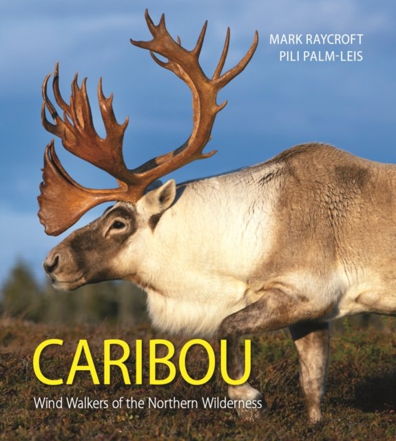 Caribou: Wind Walkers of the Northern Wilderness - Mark Raycroft ...