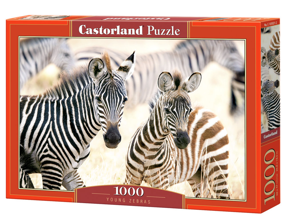 CASTOR, Puzzle 1000 Young Zebras C-105021-2 - Castorland | Sklep EMPIK.COM
