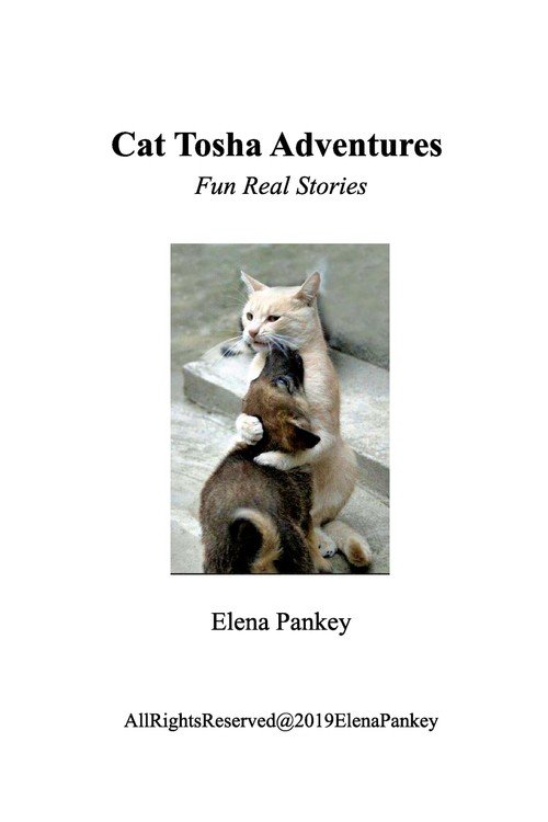 Cat Tosha Adventure - Pankey Elena | Książka w Empik