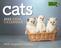 Cats Mini Box Calendar 2022 - Opracowanie zbiorowe | Książka w Empik