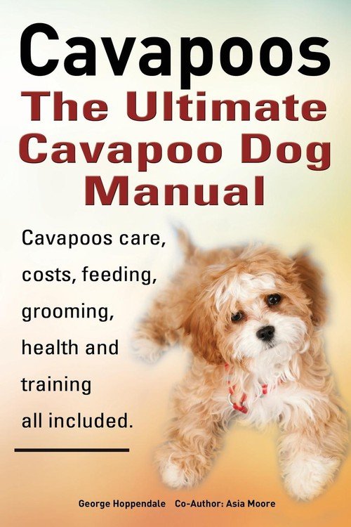 Cavapoos. Cavoodle. Cavadoodle. the Ultimate Cavapoo Dog Manual ...