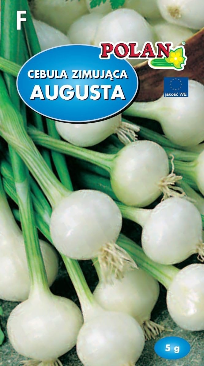 Cebula Augusta 5 g POLAN - PlantiCo | Sklep EMPIK.COM