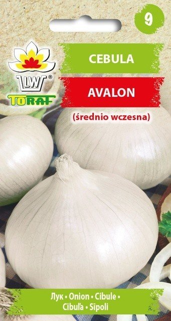 Cebula biała AVALON (późna) Allium cepa L. - Inna marka | Sklep EMPIK.COM
