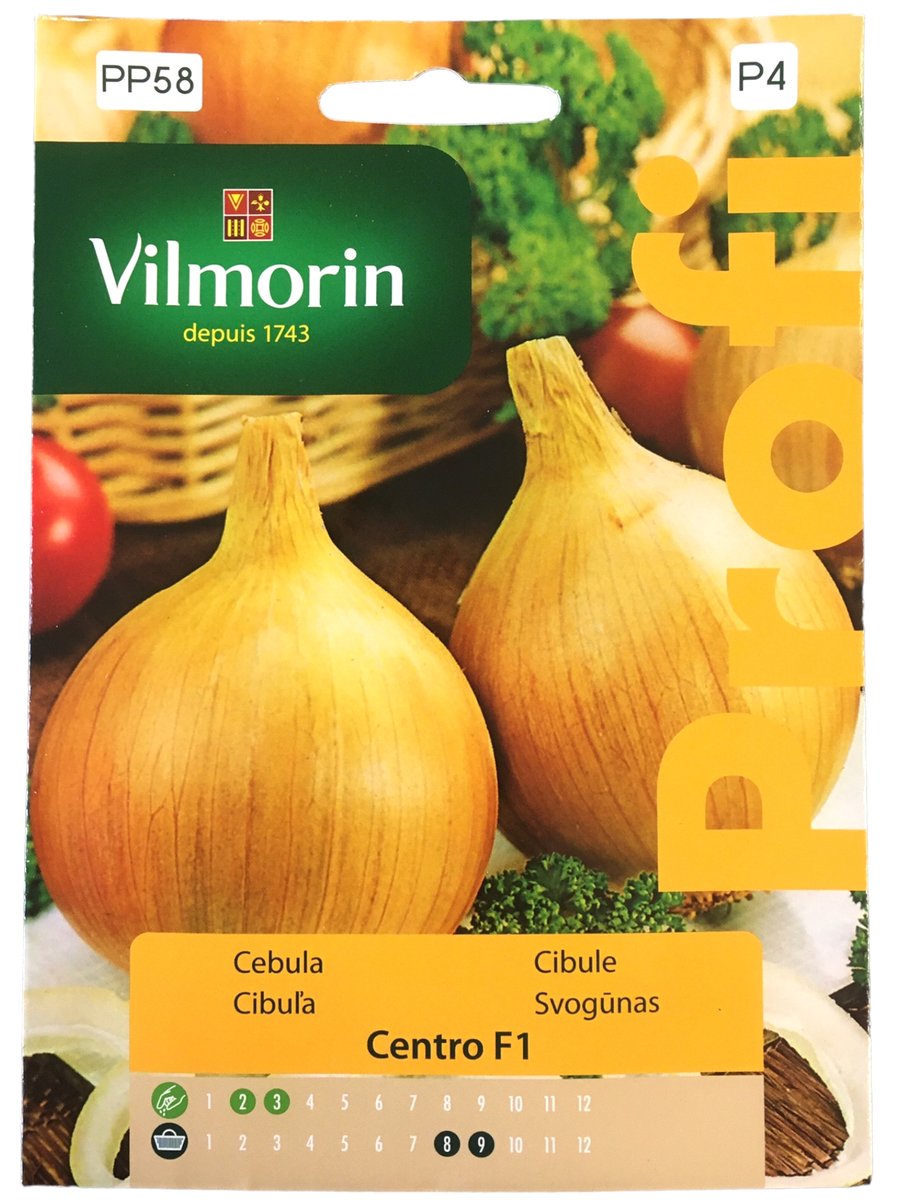 Cebula Centro F1 Nasiona 2G Vilmorin Profi - Vilmorin | Sklep EMPIK.COM