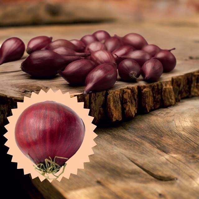 Cebula dymka zimująca czerwona Akado 0,25 kg - Inna marka | Sklep EMPIK.COM