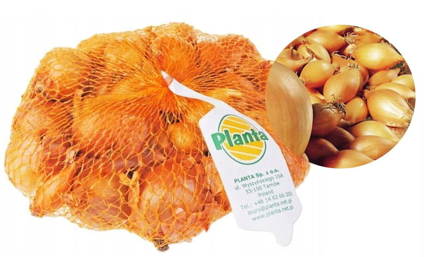 Cebula dymka żółta do sadzenia Stuttgarter 0,5 kg - LEGUTKO | Sklep ...