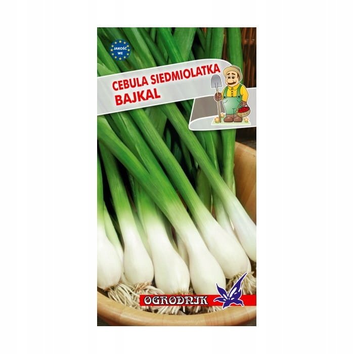 Cebula siedmiolatka Bajkal 2g / O / - inna (Inny) | Sklep EMPIK.COM