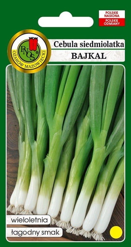 Cebula siedmiolatka Bajkal 50 g PNOS - PNOS | Sklep EMPIK.COM