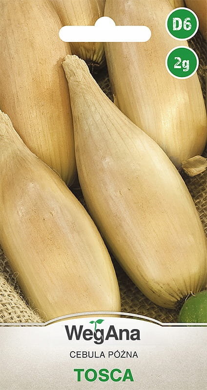 Cebula Toska 2g nasiona - WegAna - WegAna | Sklep EMPIK.COM