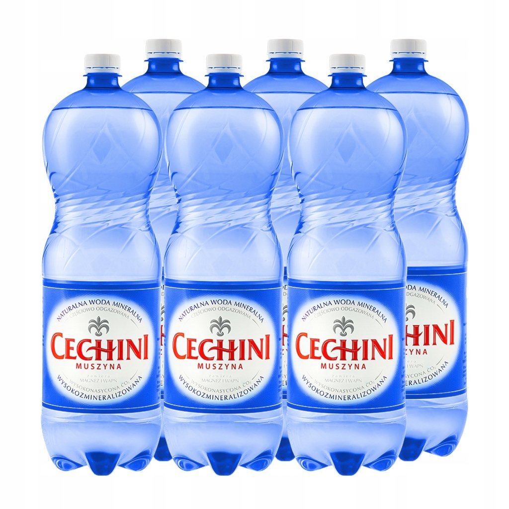 CECHINI Muszyna Naturalna woda wysokonasycona 6x2l - Inny producent ...