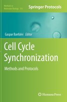 Cell Cycle Synchronization: Methods and Protocols - Opracowanie ...