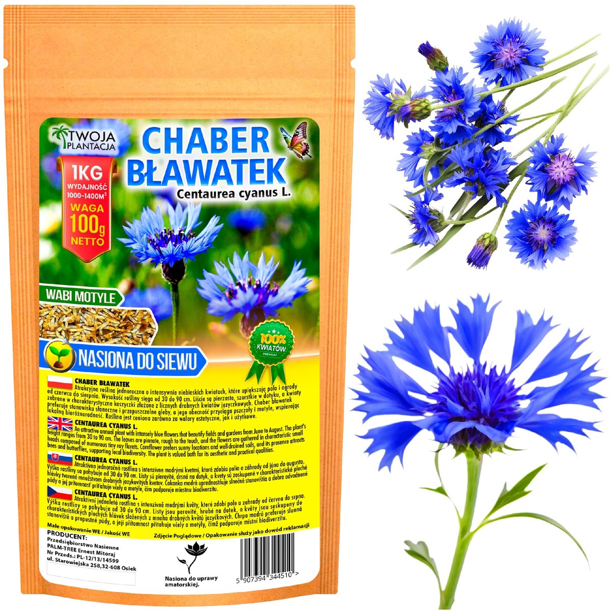CHABER BŁAWATEK NIEBIESKI NASIONA do siewu łąka kwietna 100g - Palm ...