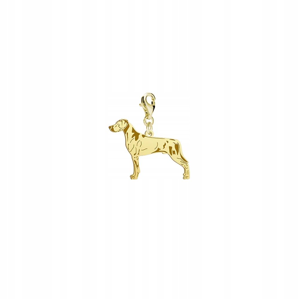 Charms Złoty z psem Rhodesian Ridgeback 925 Biżuteria Kobieta DEDYKACJA ...