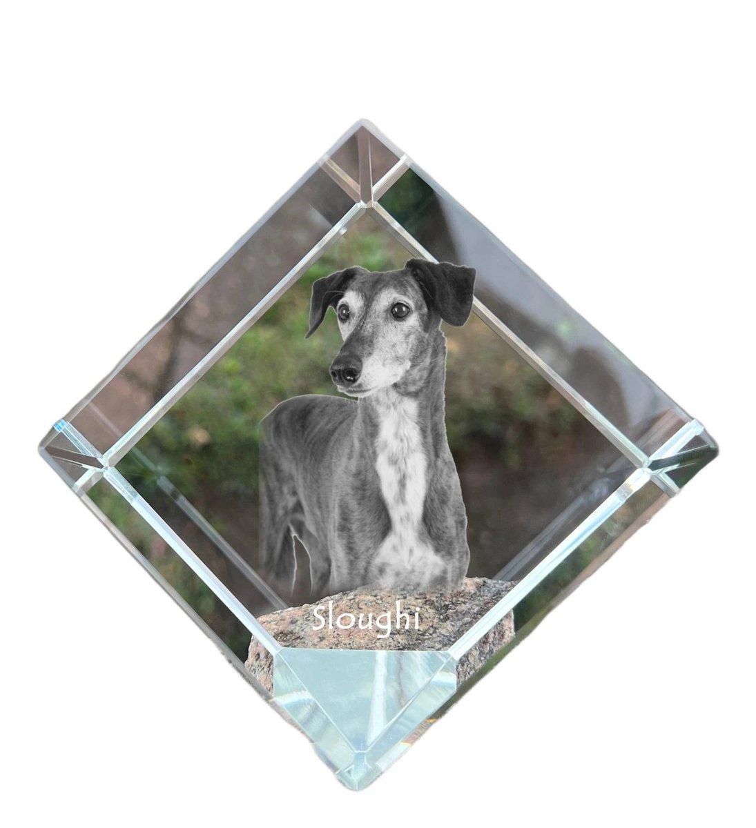 Chart perski, Saluki - kryształowa kostka ze zdjęciem, zdjęcie konia w ...