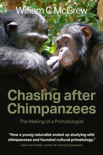 Chasing after Chimpanzees: The Making of a Primatologist - William C ...