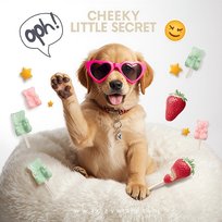 Cheeky Little Secret - Belief Music | Muzyka, mp3 Sklep EMPIK.COM
