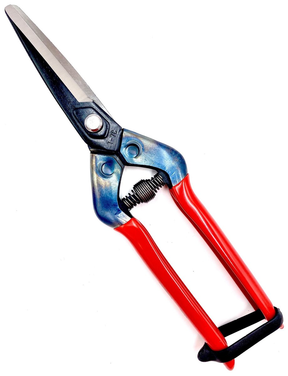 CHIKAMASA - T-7C - sekator czerwony - Euroflora | Sklep EMPIK.COM