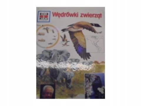 Co i jak Wędrówki zwierząt t 6 - Droscher Vitus B. | Książka w Empik