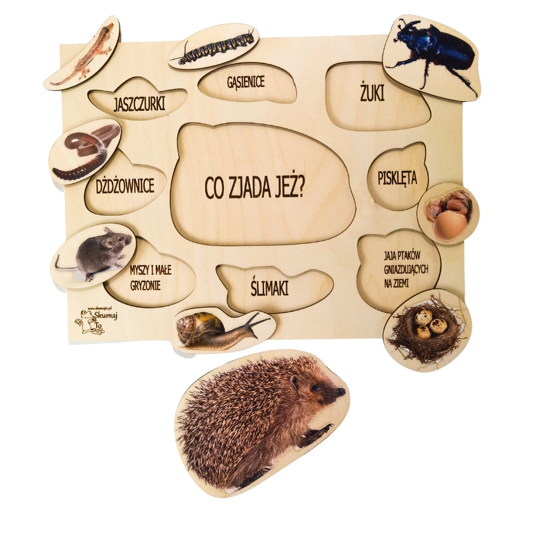 Co zjada jeż, drewniana układanka o jeżu, pokarm jeża, ruchome elementy ...