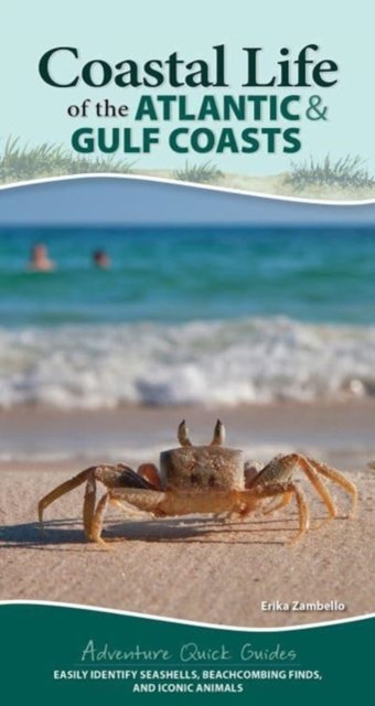 Coastal Life of the Atlantic and Gulf Coasts: Easily Identify Seashells ...