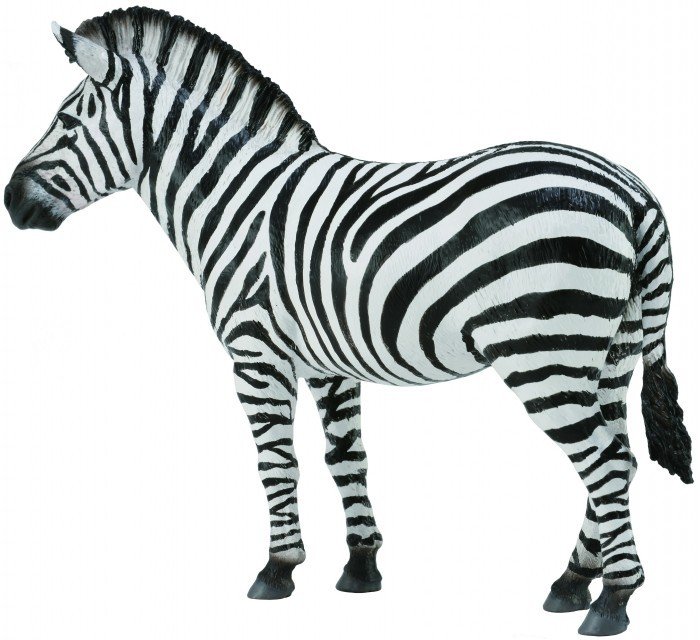 Collecta, Figurka kolekcjonerska, Zebra Pospolita, nr kat 88830 ...