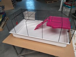 COMFY BANNY 3 PLUS EDYCJA LIMITOWANA X - Comfy | Sklep EMPIK.COM