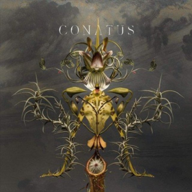 Conatus, płyta winylowa - Beving Joep | Muzyka Sklep EMPIK.COM