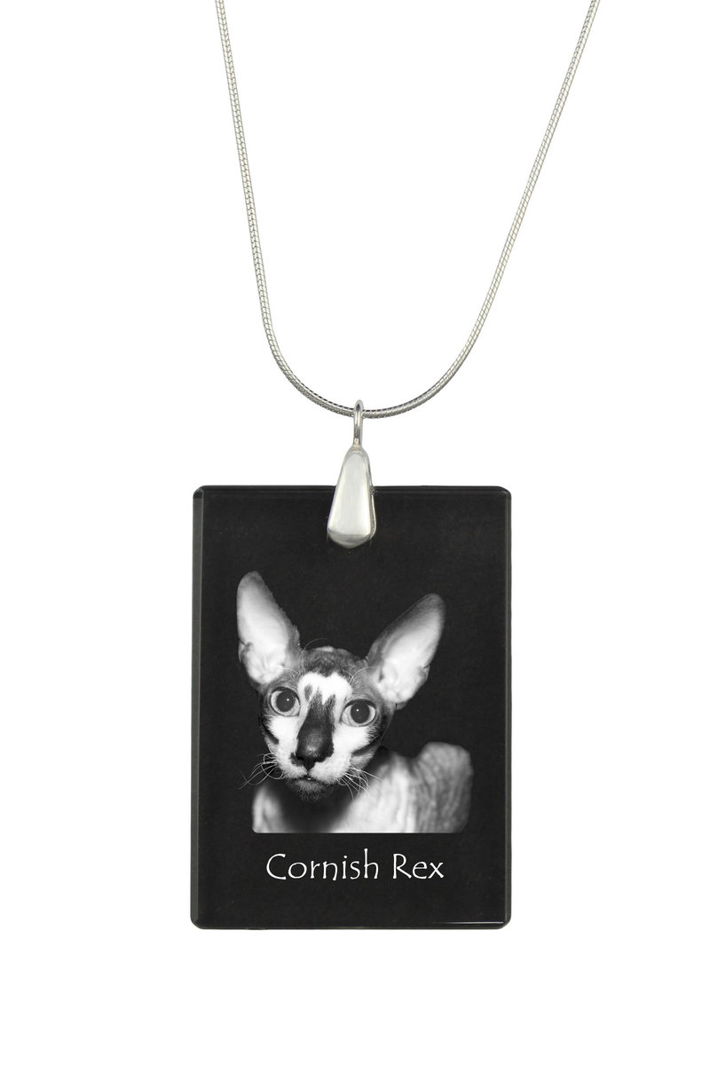 Cornish Rex naszyjnik kryształowy z kotem Art-Dog - Inna marka | Moda ...