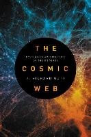 Cosmic Web - Gott Richard J. | Książka w Empik